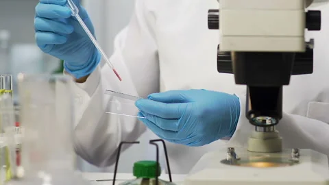 Sample@ Stock Videos – Royalty-Free HD & 4K Videos