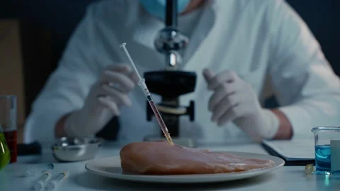 Lab Chicken Stock Videos – Royalty-Free HD & 4K Videos
