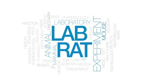 Lab rat animated word cloud, text design... | Stock Video | Pond5