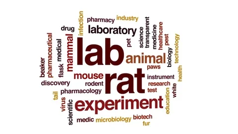 Lab rat animated word cloud, text design... | Stock Video | Pond5