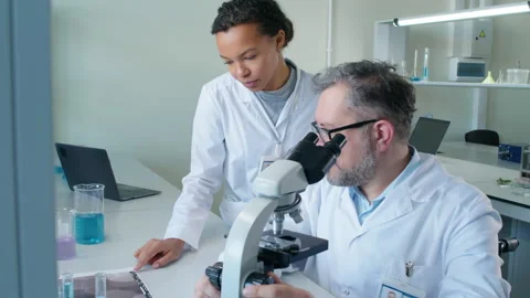 Lab Team Comparing Photo to Cells in Mic... | Stock Video | Pond5