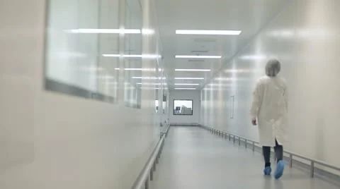 Walking As Lab Stock Video Footage | Royalty Free Walking As Lab Videos ...