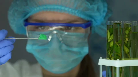 Test The Agent Stock Videos – Royalty-Free HD & 4K Videos | Pond5