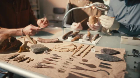 Labeled Artifacts on Lab Table, Archaeol... | Stock Video | Pond5
