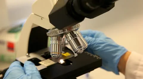 Laboratory examination under a microscop... | Stock Video | Pond5