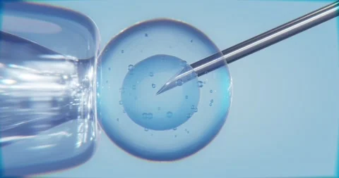 Laboratory procedure with an egg cell, a... | Stock Video | Pond5