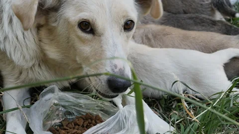 Lactating Nipples Stock Videos – Royalty-Free HD & 4K Videos | Pond5