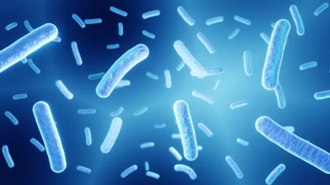 Lactobacillus Stock Footage ~ Royalty Free Stock Videos | Pond5