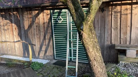 Shadow Dropping Stock Videos – Royalty-Free HD & 4K Videos | Pond5