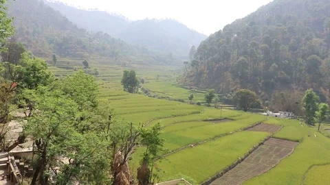 Ladder farming | Stock Video | Pond5