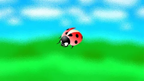 ladybug 2d animation and background, lad... | Stock Video | Pond5