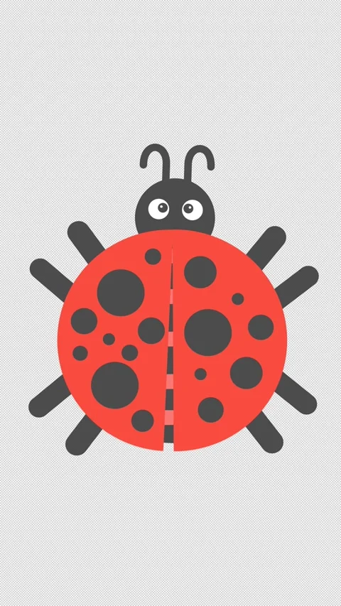 Insect Clip Art Stock Footage ~ Royalty Free Stock Videos | Pond5