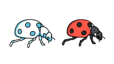 ladybug Sketch and 2d animation, insect | Stock Video | Pond5