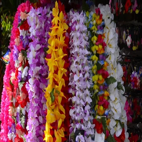 Cultural Center Stock Video Footage | Royalty Free Cultural Center ...