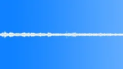 Birds Squawk Sound Effects ~ Birds Squawk Sounds | Pond5