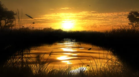Sunset Loop Stock Videos – Royalty-Free HD & 4K Videos | Pond5