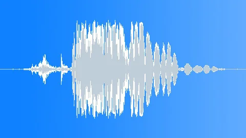 Lamborghini Transform RC Car Robo Foot Stomp Impact Armor HIt 07.wav ...