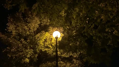 Lamp Post Night Stock Videos – Royalty-Free HD & 4K Videos