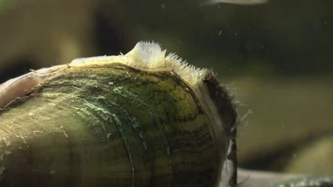 Close Bottom Stock Videos – Royalty-Free HD & 4K Videos | Pond5