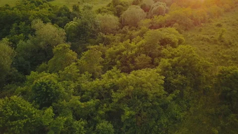 landscape with a bird's eye view | Stock Video | Pond5