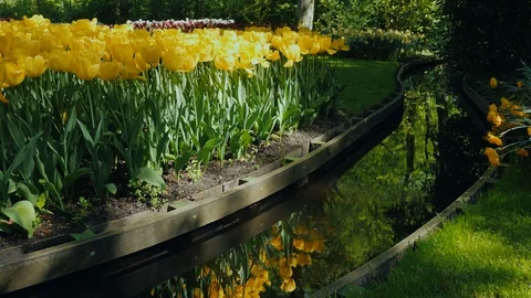 Landscape design using a water channel a... | Stock Video | Pond5