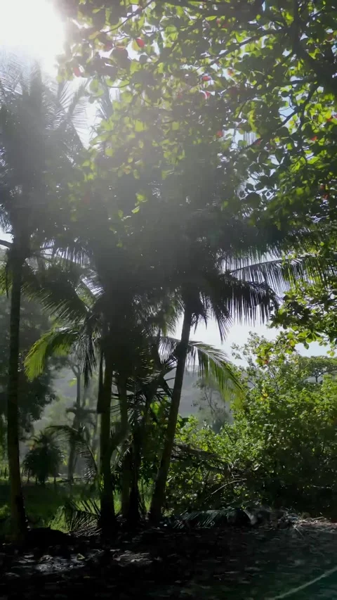 Lowes Under Th Stock Videos – Royalty-Free HD & 4K Videos