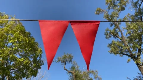 Landscape with red flags on the sky back... | Stock Video | Pond5