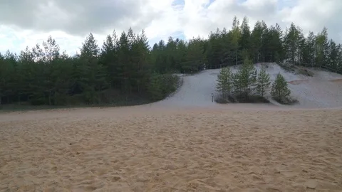 The landscape shot of the Piusa forest a... | Stock Video | Pond5