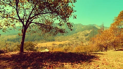Landscape valley Loop background with bl... | Stock Video | Pond5