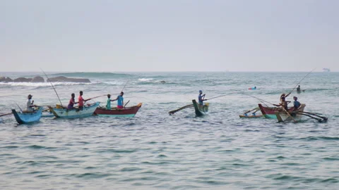 Lankan people catch fish and balance on ... | Stock Video | Pond5