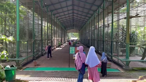The large aviary collection of animals a... | Stock Video | Pond5