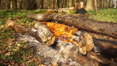 Large Campfire Burning in Woodland. Huge... | Stock Video | Pond5