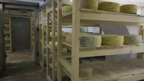 Large cheese storage dry room at the dai... | Stock Video | Pond5