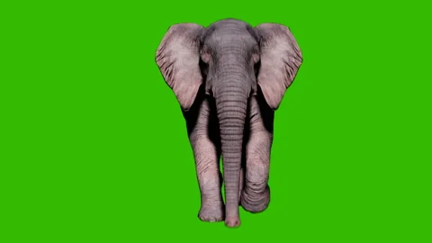 Running Green Screen Stock Video Footage | Royalty Free Running Green ...