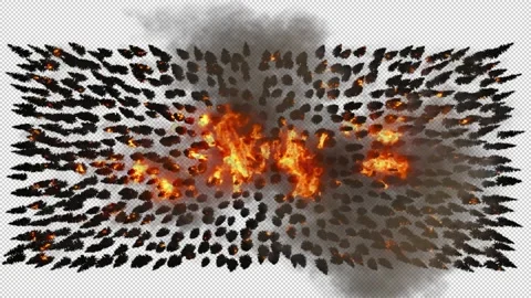 Burnt Down Forest Stock Videos – Royalty-Free HD & 4K Videos | Page 4