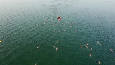 Large group of Swimmers crossing the Sea... | Stock Video | Pond5