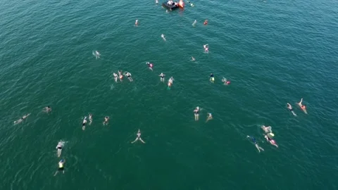 Large group of Swimmers crossing the Sea... | Stock Video | Pond5