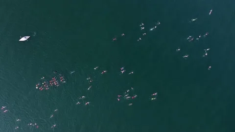Large group of Swimmers crossing the Sea... | Stock Video | Pond5