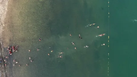 Large group of Swimmers crossing the Sea... | Stock Video | Pond5