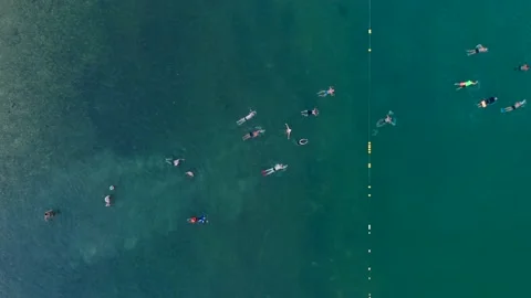 Large group of Swimmers crossing the Sea... | Stock Video | Pond5