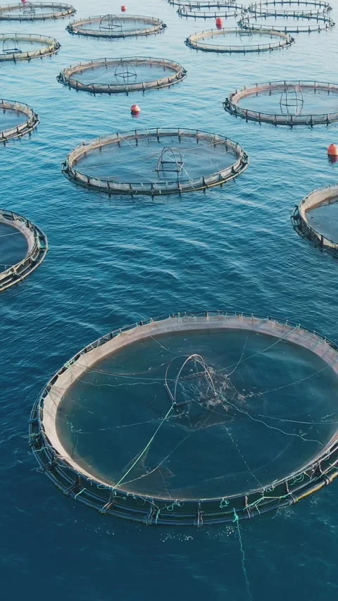 Large industrial fish farming unit cages... | Stock Video | Pond5