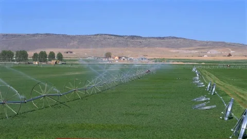 Large irrigation system watering a huge ... | Stock Video | Pond5