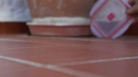 Locust Jump Stock Video Footage | Royalty Free Locust Jump Videos | Pond5