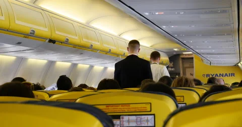 Airplane Flight Attendant Stock Video Footage | Royalty Free Airplane ...