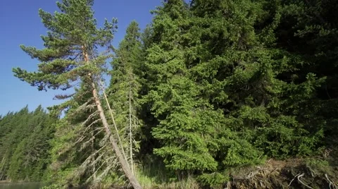 Fart Motion Stock Videos – Royalty-Free HD & 4K Videos