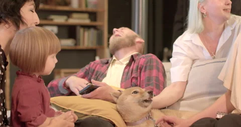 Number To Can Stock Videos – Royalty-Free HD & 4K Videos | Pond5