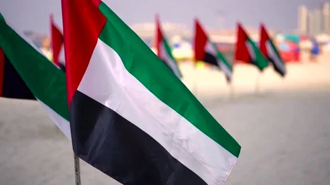 A large number of UAE flags on the backg... | Stock Video | Pond5