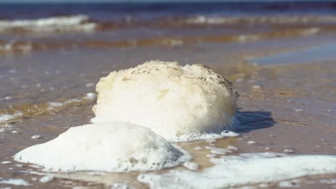 a large piece of sea foam bobs on the wa... | Stock Video | Pond5