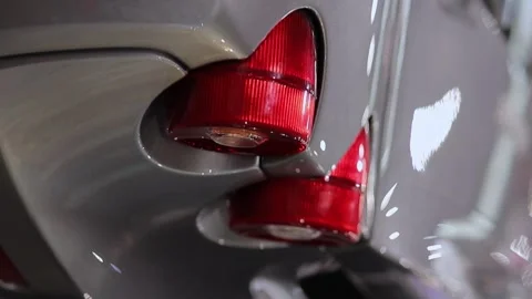 New Song Tail Stock Videos – Royalty-Free HD & 4K Videos