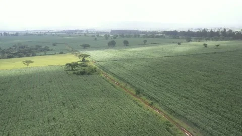 Large Scale Farming Stock Video Footage | Royalty Free Large Scale ...